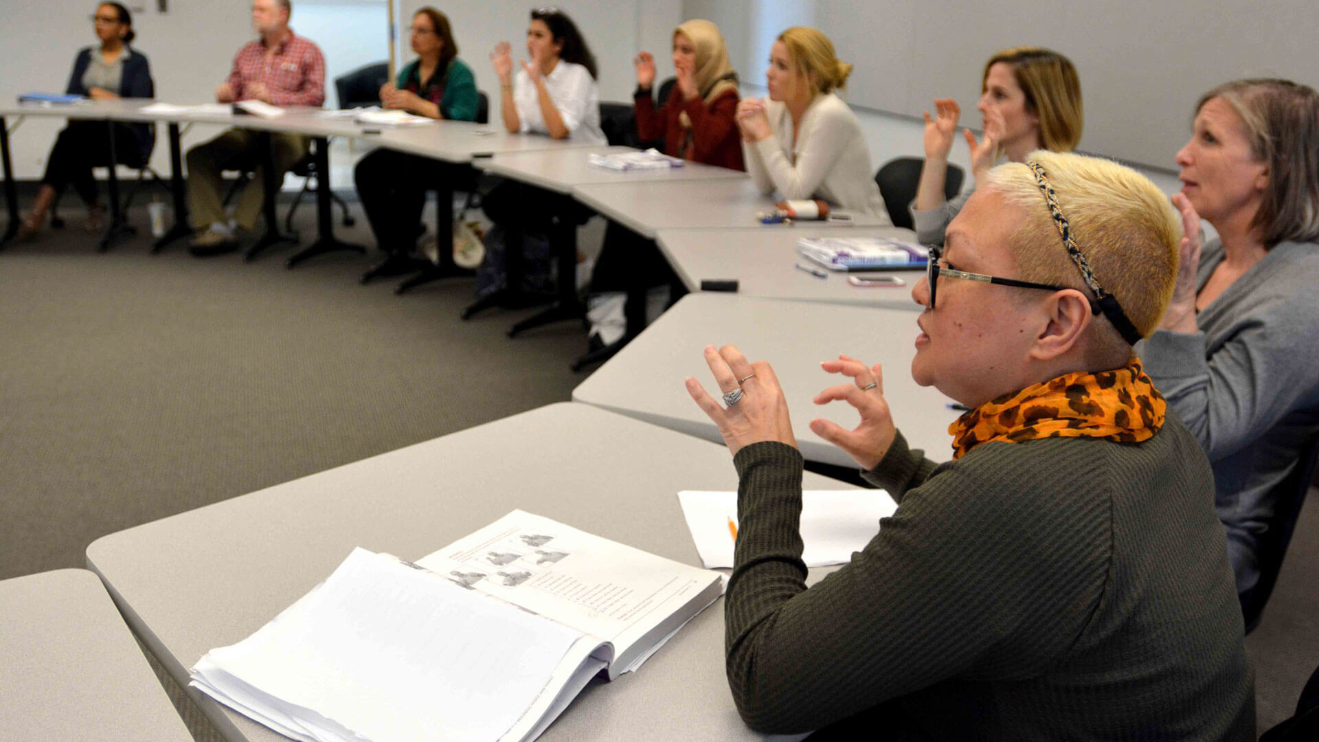 Minor in Linguistics | Gallaudet University