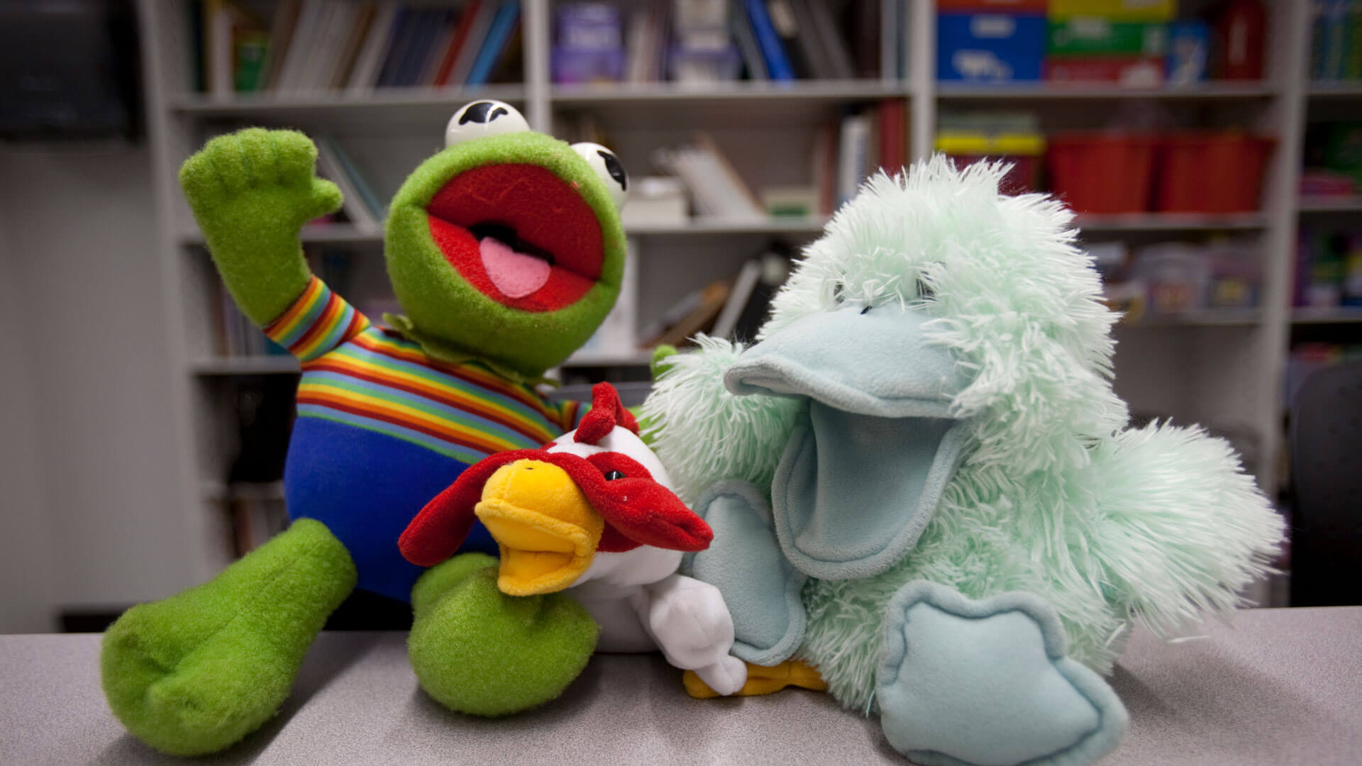 Certificate in American Sign Language and English Bilingual Early ...