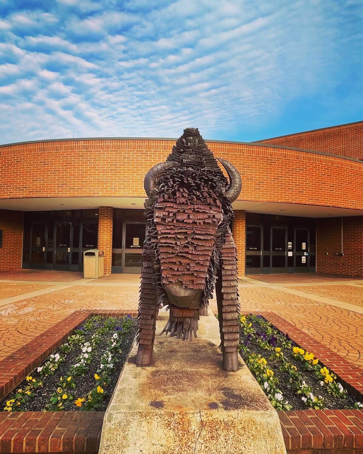 Mighty Bison statue to be cleaned, refurbished | Athletics ...
