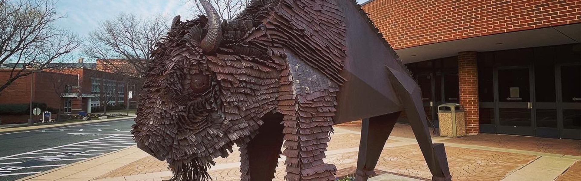 Mighty Bison statue to be cleaned, refurbished | Athletics ...